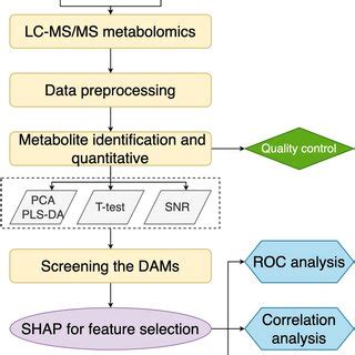 PCA And PLS DA Score Plots Based On The Plasma Metabolome Profiling Download Scientific
