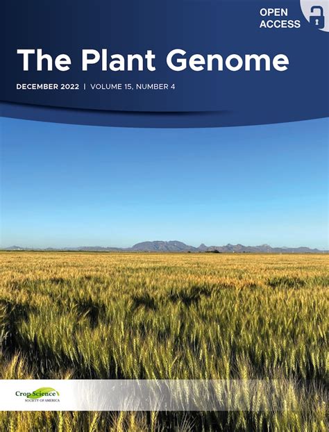 Sparse Kernel Models Provide Optimization Of Training Set Design For