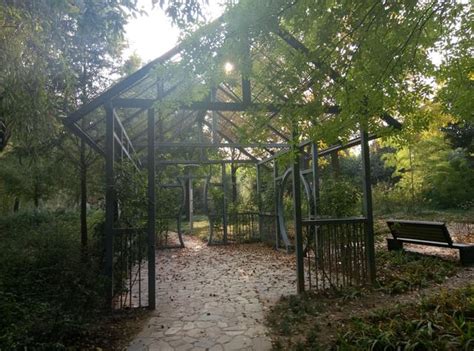 鄭州植物園之秋 每日頭條