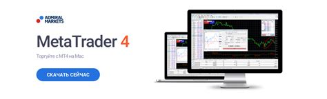 Cum Se Instalează Metatrader 4 Mac Ghid Mt4 Mac