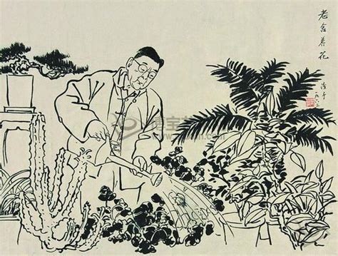 养花老舍图册 360百科