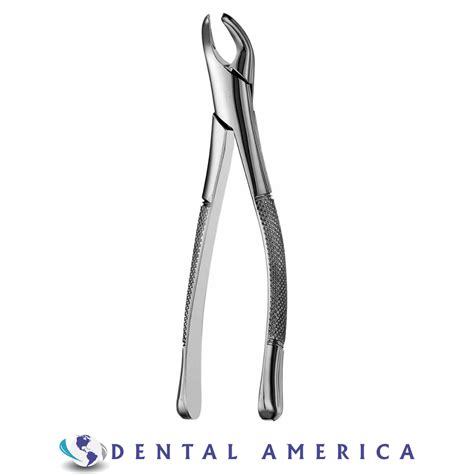 Forceps N° 151 Dental America Distribuidora De Equipos Odontológicos