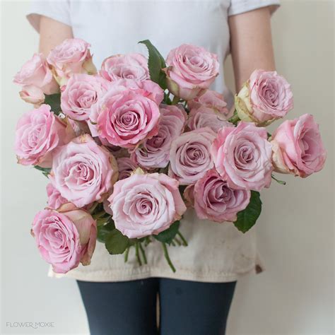 Faith Mauve Roses Bulk Fresh Diy Wedding Flowers Flower Moxie