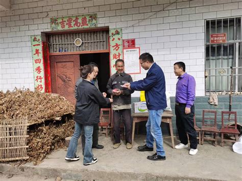广元利州积极倡导企业献爱心 助力乡村振兴 四川在线