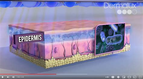 video spa industry association