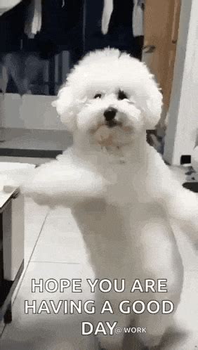 Have A Good Day At Work S
