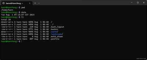 Windows 使用 Linux 子系统，轻轻松松安装多个linuxwindows Subsystem For Linux Csdn博客