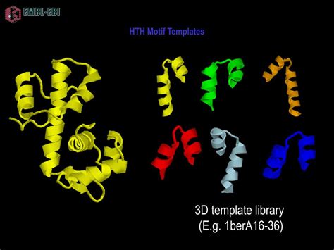 Ppt Extracting And Exploiting Structural Patterns In Proteins Especially Relating To Function