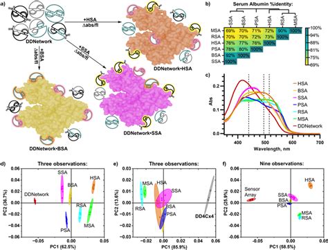 A One Pot Adaptive Network Discriminates Highly Similar Model Proteins