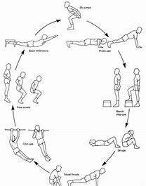 NASM Flashcards Quizlet