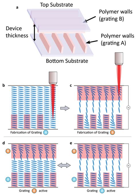 The Fabrication And Operation Of A Bilayer Switchable Doe Consisting Of Download Scientific