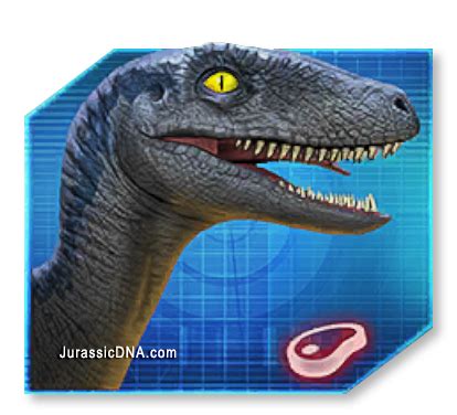 Velociraptor Blue 2 Of 3 Scan Code Dna Scan Codes For The Jurassic
