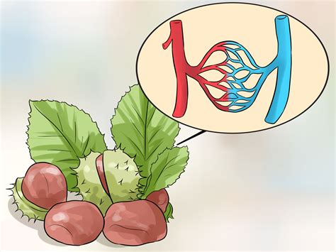 5 Ways To Heal Hemorrhoids Wikihow