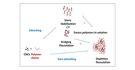 Polymer Induced Gelation Of Aqueous Suspensions Of Cellulose