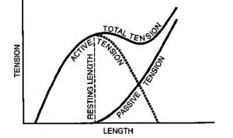 Lecture 4 Part 1 Slide 27 And Lecture 4 Part 2 And Lecture 5 To Slide