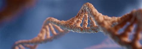 Struktur Dan Komponen Dna Dan Rna Dalam Genetik