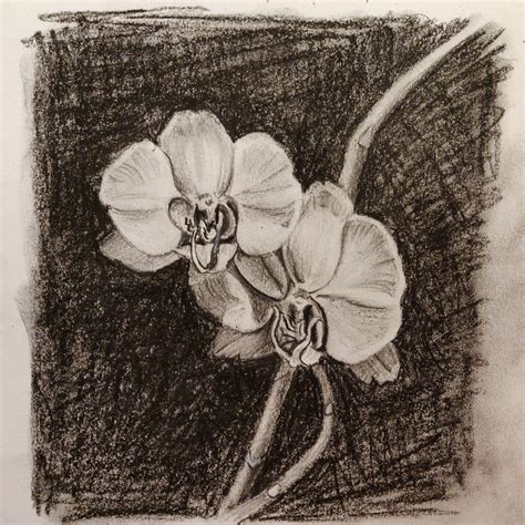 The Cassandra Pages Writing