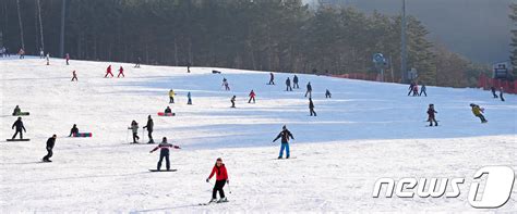 겨울 즐기는 스키어들