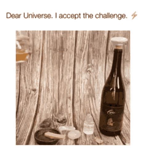 Wine Glass Wine Bottle  Wine Glass Wine Bottle Discover And Share S