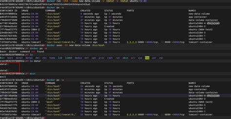 Docker 数据卷容器 数据卷备份和还原 皇帽讲绿帽带法技巧 博客园
