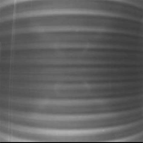 1 Symmetric Taylor Vortices Courtesy Of N Borhani With Permission