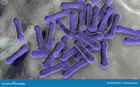 Bacteria Corynebacterium Diphtheriae Stock Illustration Cartoondealer