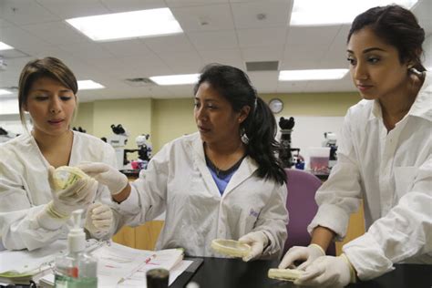 Addressing STEM Culture And Climate To Increase Diversity In STEM Disciplines Higher Education