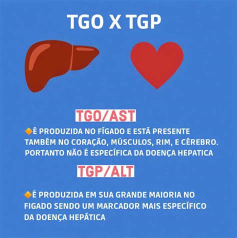Super Reforço O Que é Tgo E Tgp