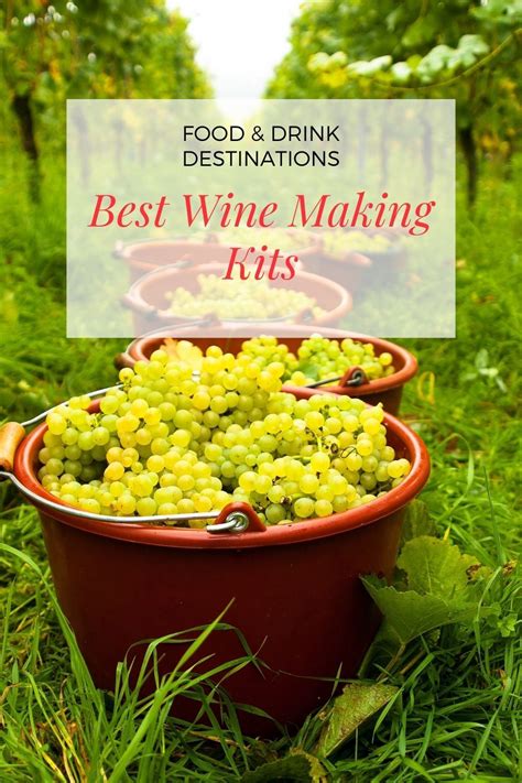 Fine Wine Wine Making Starter Kit At Beatrice Short Blog