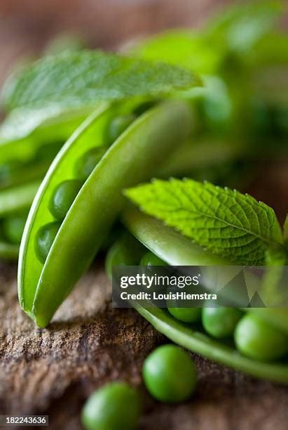 Sphere Mint Photos And Premium High Res Pictures Getty Images