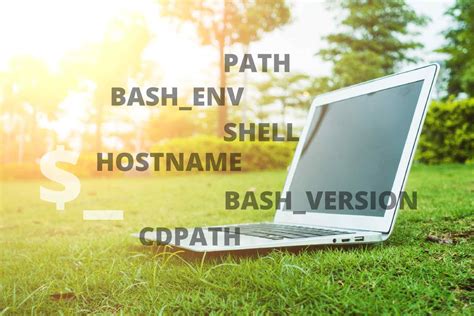 A Complete Guide To The Bash Environment Variables