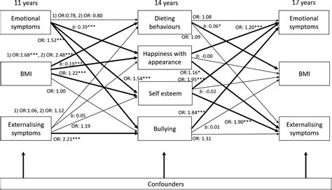 The Role Of Dieting Happiness With Appearance Self Esteem And Bullying In The Relationship