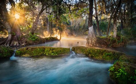 С добрым утром Dymontiger — Livejournal