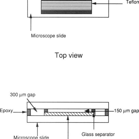 Schematic Of The Solidification Cell Download Scientific Diagram