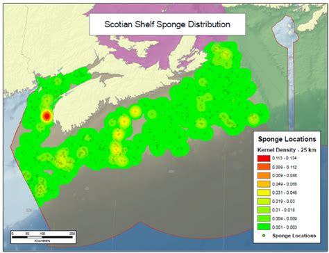 Interpolated Density Distribution Kgkm 2 Of Sponges From The