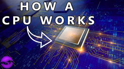 how a cpu works hardware software parallelism