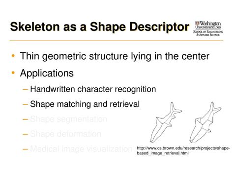 ppt 3d thinning on cell complexes for computing curve and surface