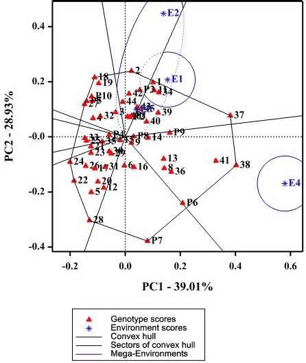 polygon view of the gge biplot based on symmetrical scaling see table