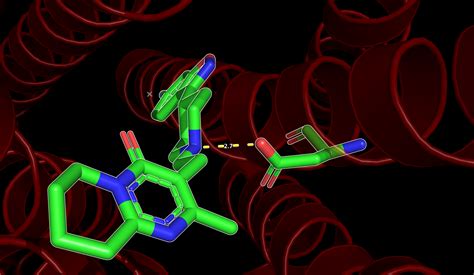 How To Measure Distances And Display Interactions In Pymol Compchems