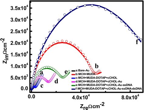 Eis Behaviours Of Gold Electrode Aue Curve A Modified With Mixed Download Scientific Diagram