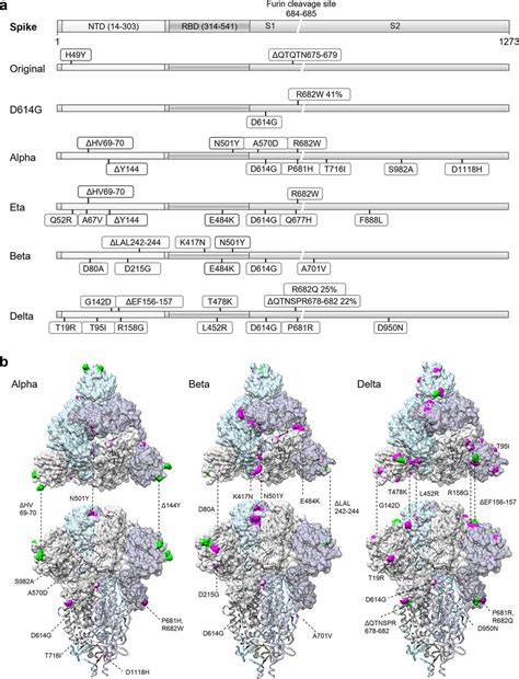 Representation Of Genetic Variants Of Sars Cov 2 A Schematic Download Scientific Diagram