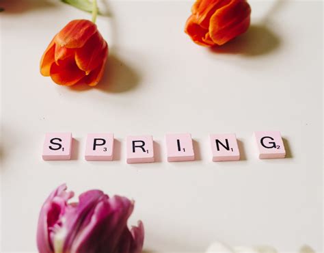 Fun Springtime Activities To Add To Your April Calendar Calendar
