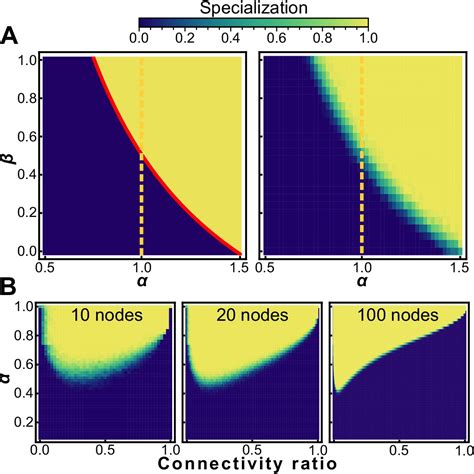 Topological Constraints In Early Multicellularity Favor Reproductive Division Of Labor Elife