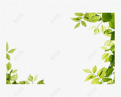 ppt背景图片树叶 t图片 t图片简约 第12页 大山谷图库