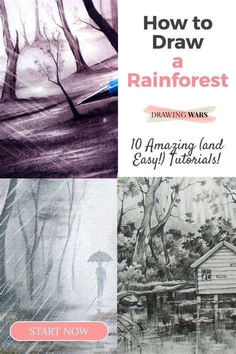 The Best 10 Tutorials On How To Draw A Rainforest Step By Step Easy Learn How To Draw A
