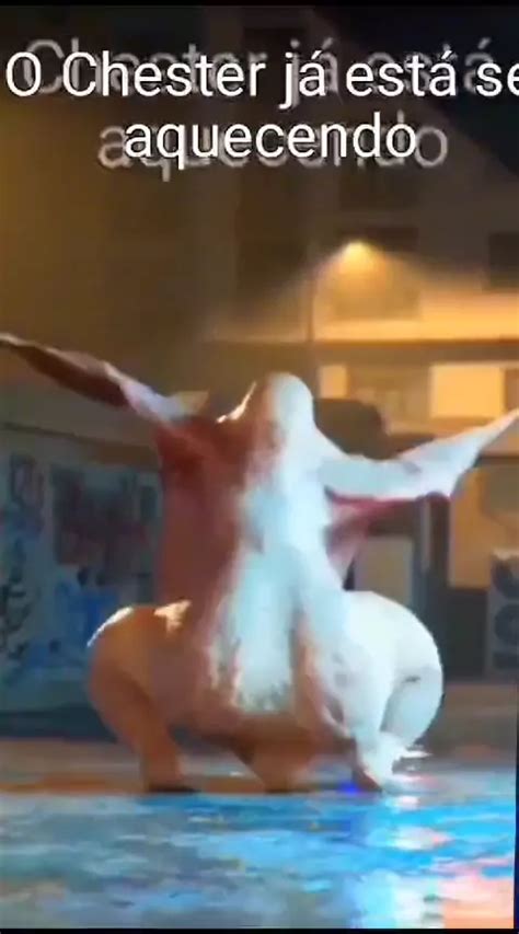 Chester Koong Full Sex And Chester Koong Funny Video Kwai