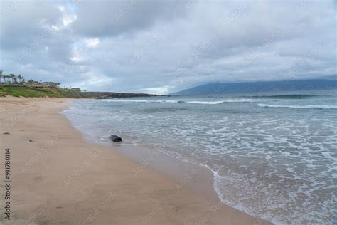 Hawaii The Aloha State Experience The Breathtaking Beauty And Vibrant Culture Of Hawaii From