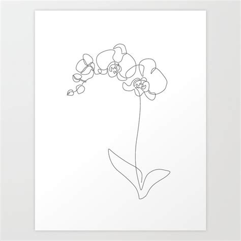 White Orchid Single Line Drawing Of A Orchid Plant Explicit Design Art Print By Explicit