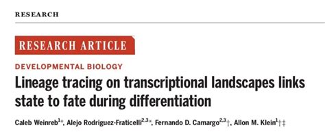 Science 细胞分化过程中状态图谱与细胞命运图谱 知乎