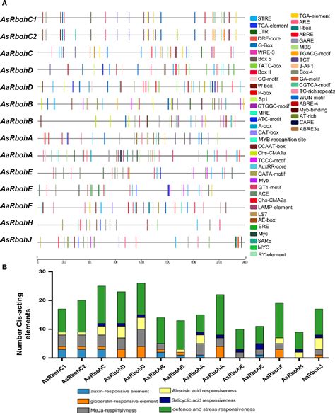 Figure 3 From Genome Wide Analysis Of Respiratory Burst Oxidase Homolog